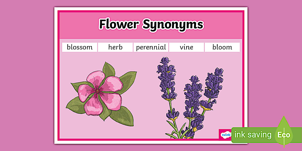 Flower Synonyms Word Mat (teacher made) - Twinkl