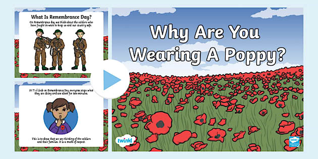 Why Are You Wearing a Poppy? PowerPoint - Twinkl