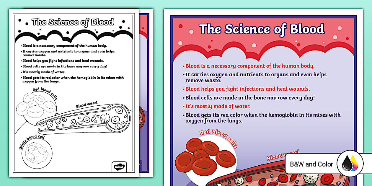 The Science of Blood Poster for 3rd-5th Grade (teacher made)