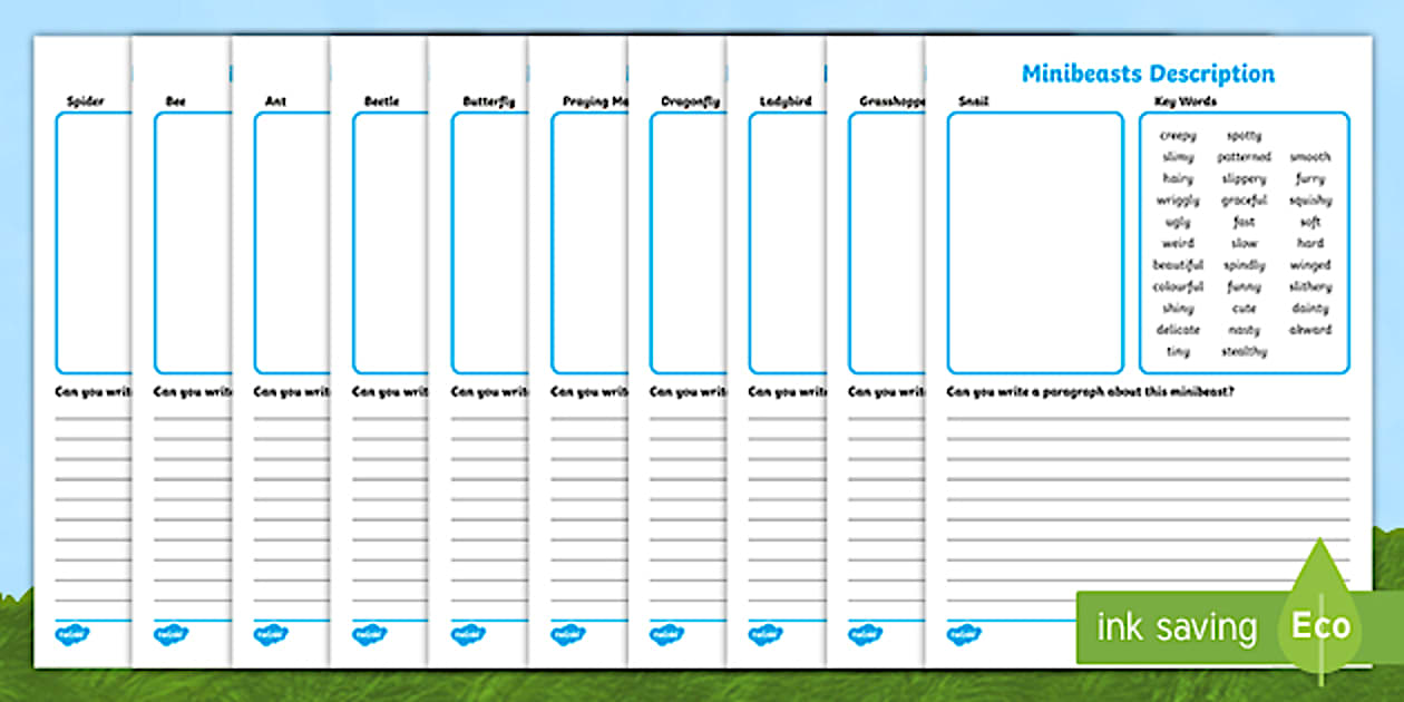 SA Minibeasts Description Draw and Write Writing Frames