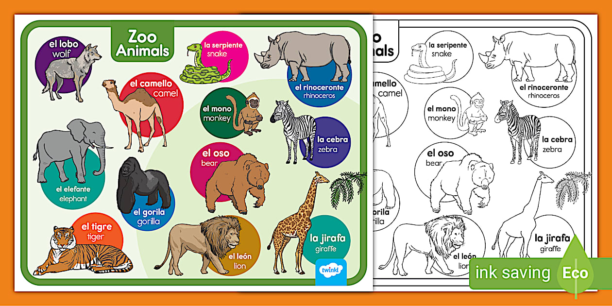 Zoo Animals in English/Spanish Poster - Twinkl