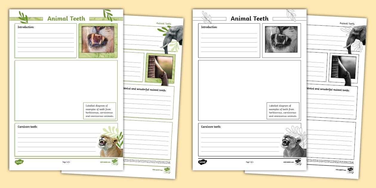 Animal Teeth Non-Chronological Report Template - Twinkl
