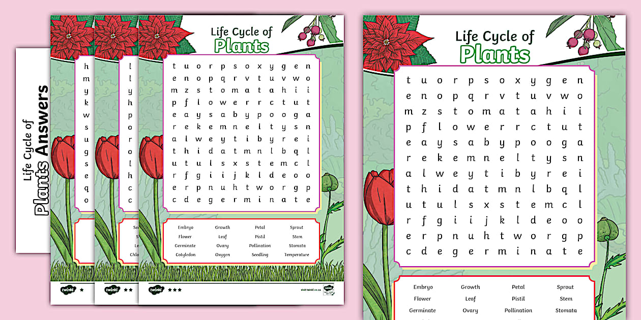 Life Cycle of Plants Differentiated Word Search - Twinkl