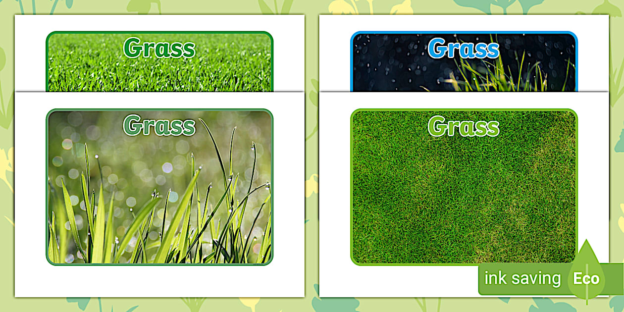 Grass Photo Pack (teacher made) - Twinkl