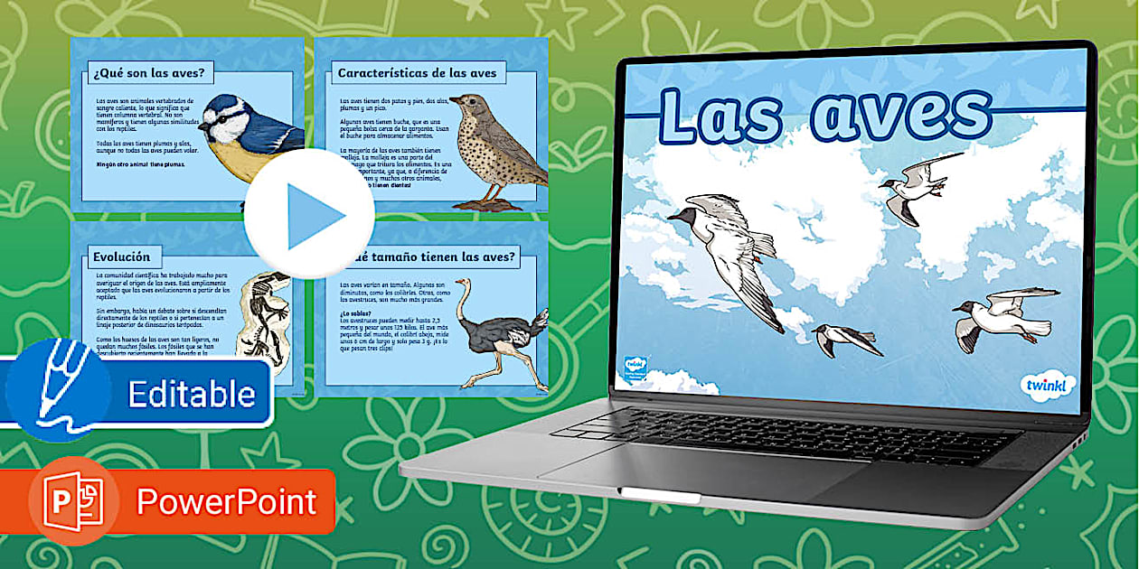 Presentación: Las aves