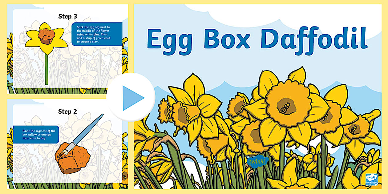 Egg Box Daffodil Craft Instructions PowerPoint - Twinkl