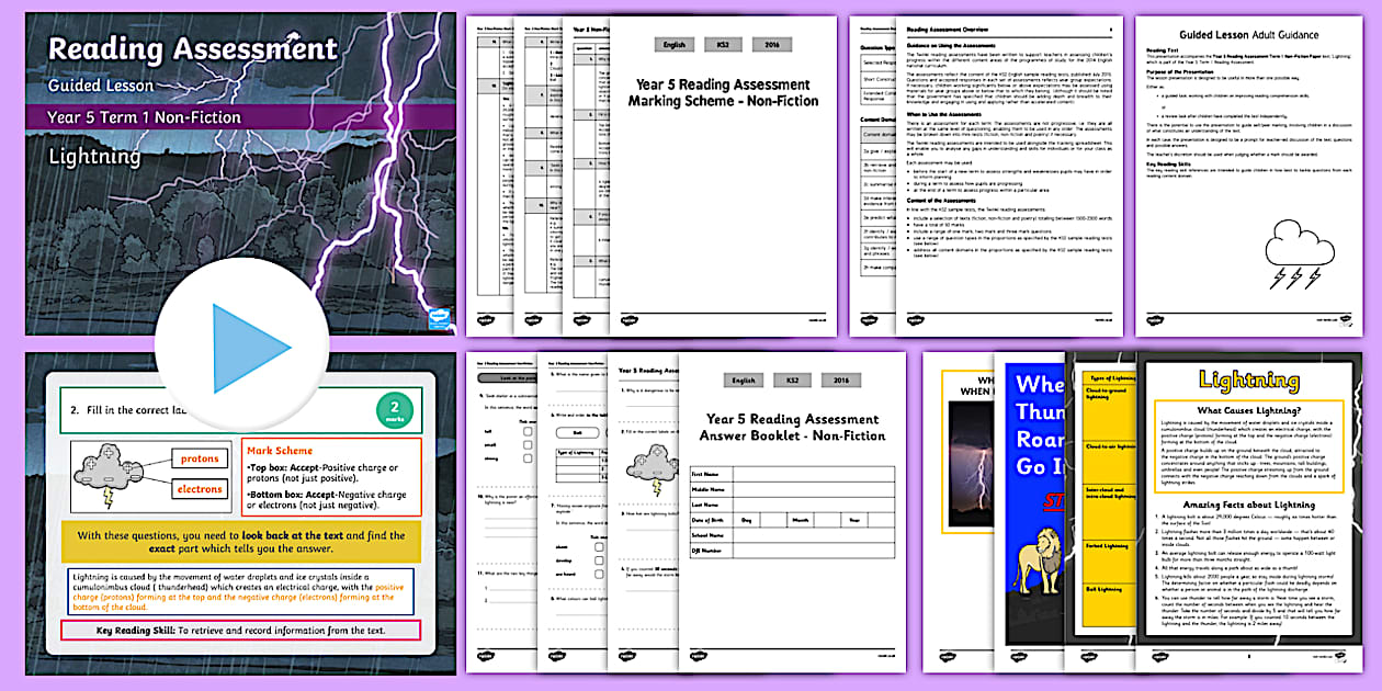 Year 5 Term 1 Non-Fiction Reading Assessment Guided Lesson Teaching Pack