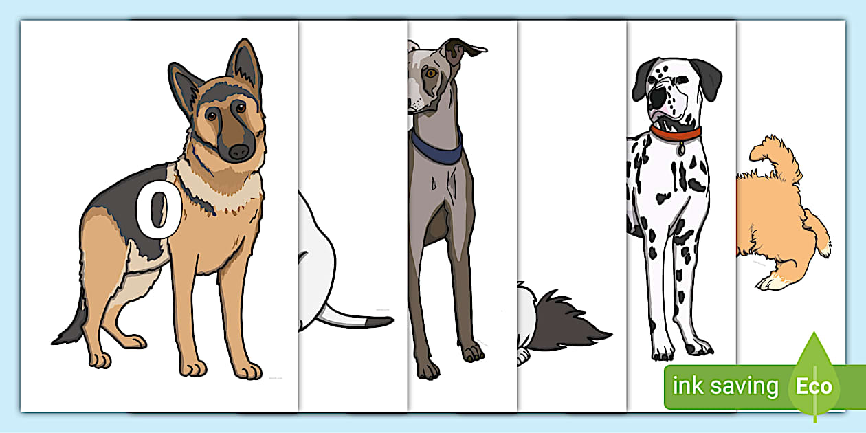 Black and White Numbers 0 to 20 on Dogs Display Posters