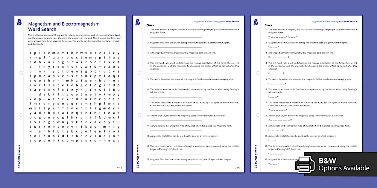 Magnetism and Electromagnetism Word Search (teacher made)