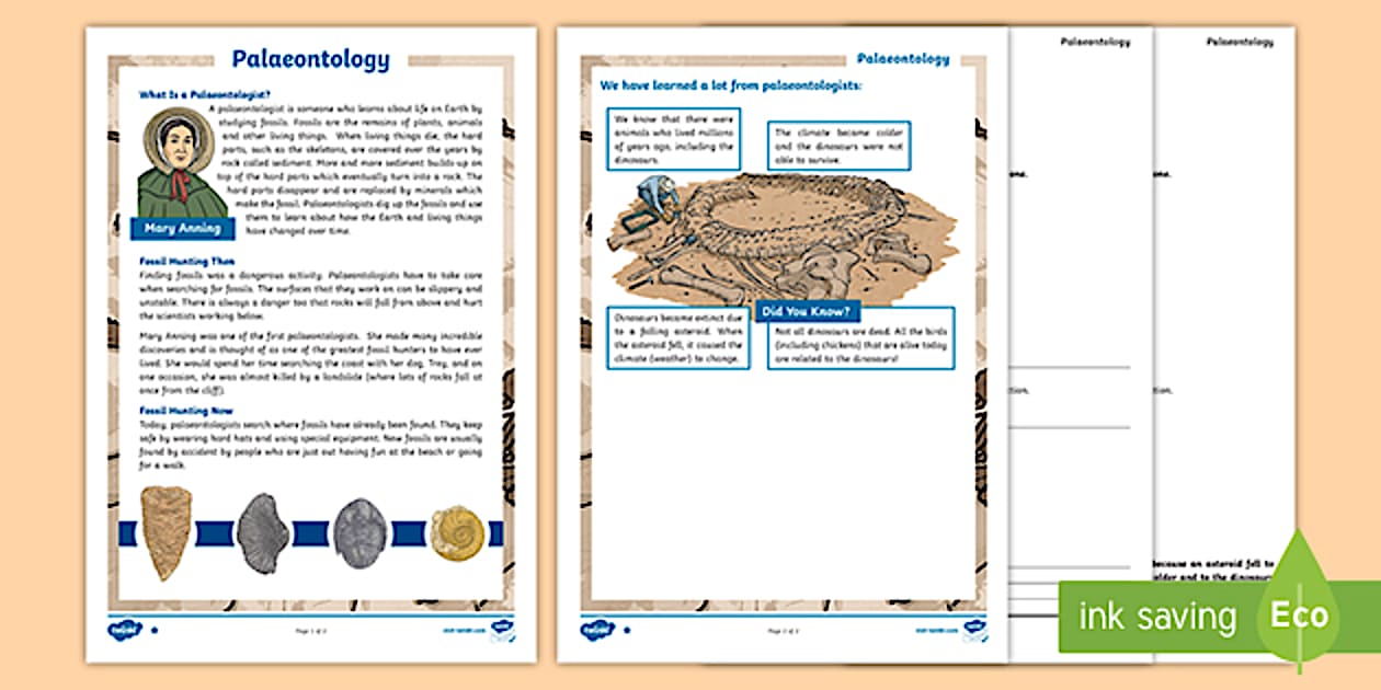 Editable Paleontology Differentiated Reading Comprehension Activity