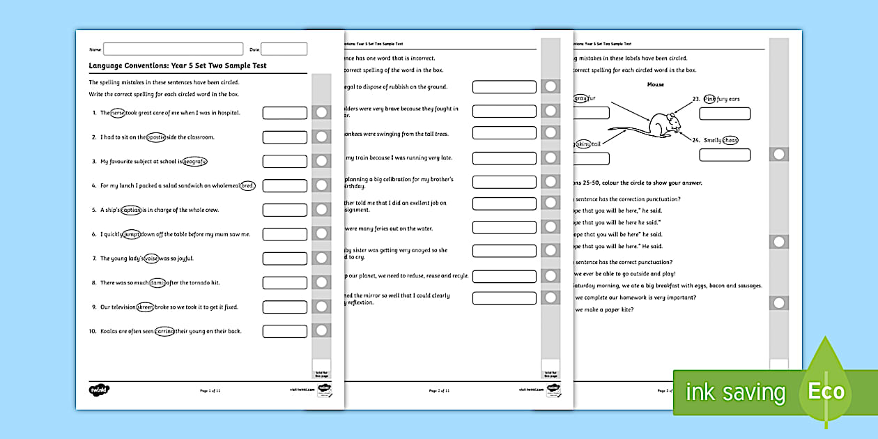 Language Conventions NAPLAN Year 5 Test - Twinkl English