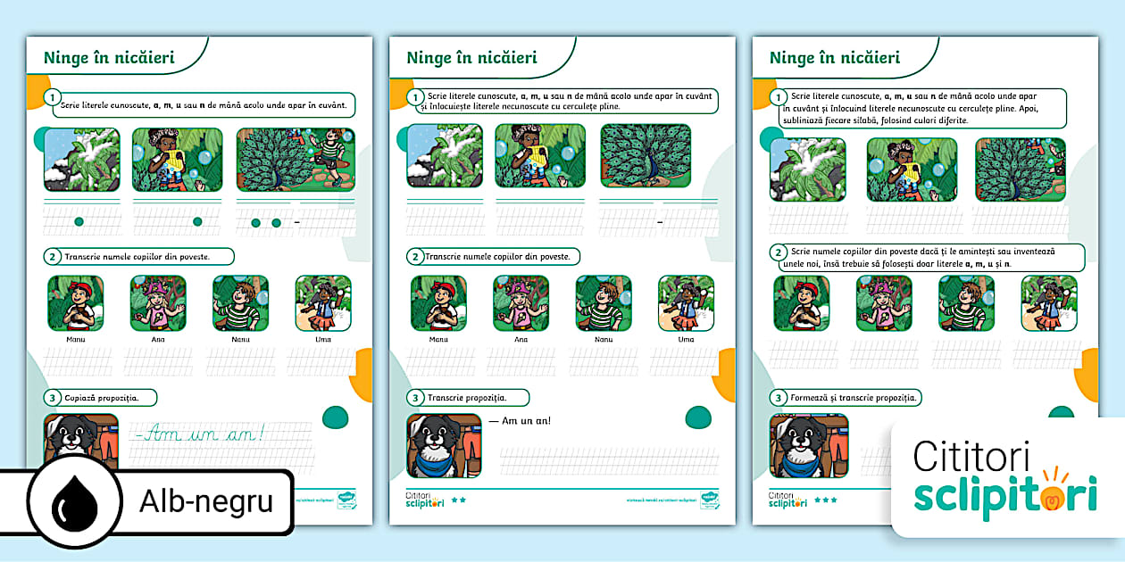 Litera N – Fișă de citire și scriere, Plan de literație