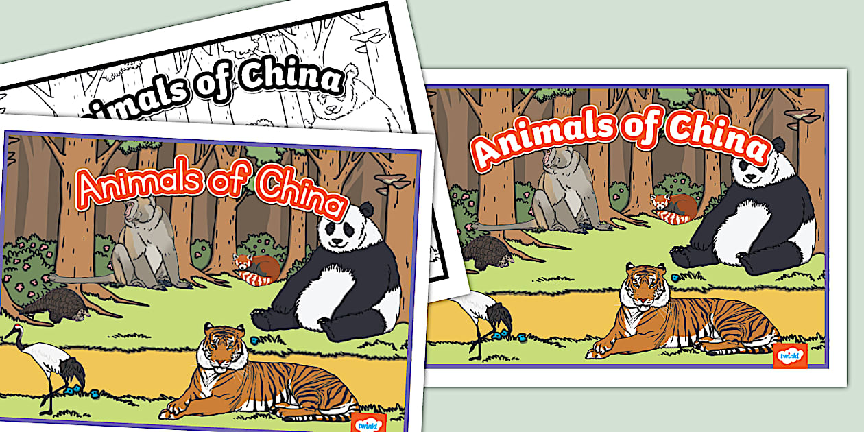 Animals of China Display Poster - Twinkl