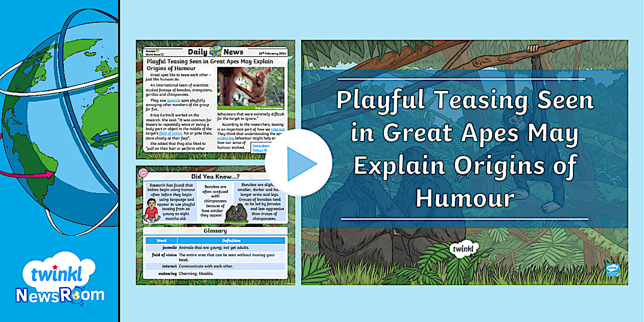 Great Apes Tease Each Other | Twinkl Resources - Twinkl