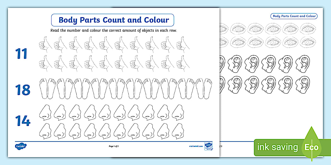 👉 Body Parts Themed Count and Colour to 20 Activity