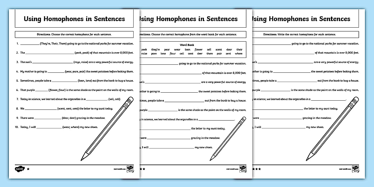 Homophone Sentences | Differentiated Resource | Twinkl USA