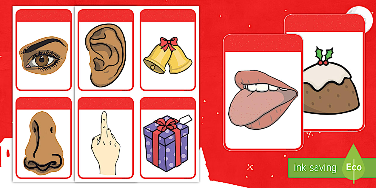 Cartes pour jeu de paires : Les cinq sens (teacher made)
