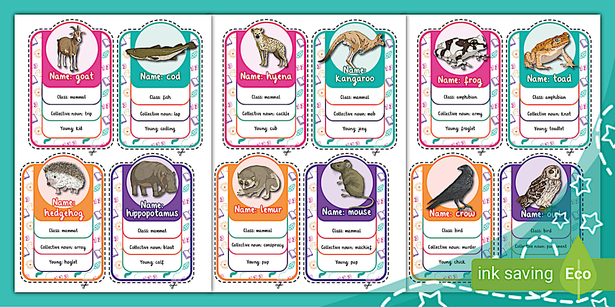 Animal Classification, Young and Collective Nouns Cards