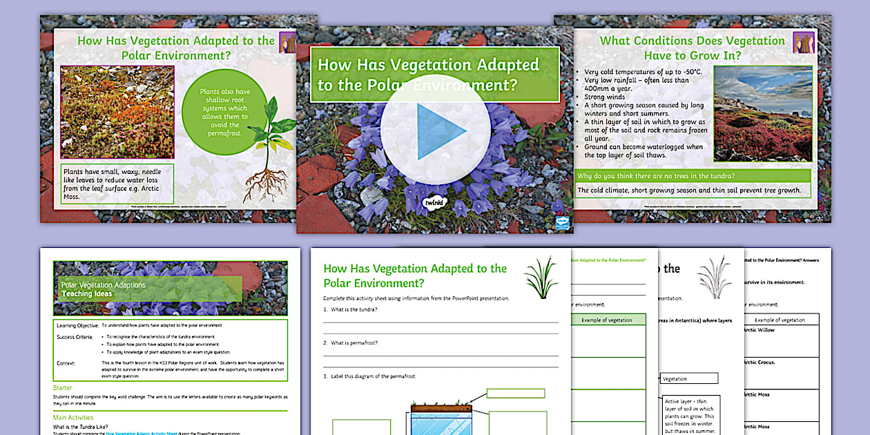 Editable Polar Regions Lesson 4: How Has Vegetation Adapted to the Polar