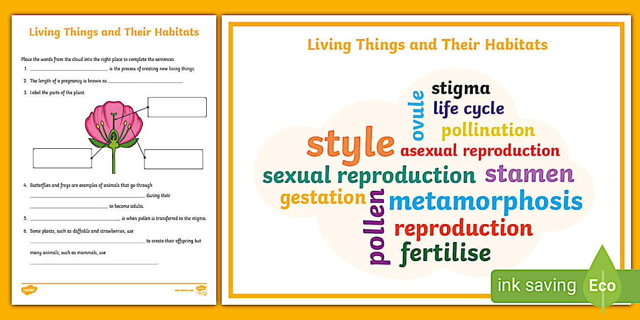 Y5 Living Things and Their Habitats Science Key Vocabulary Cloud and ...