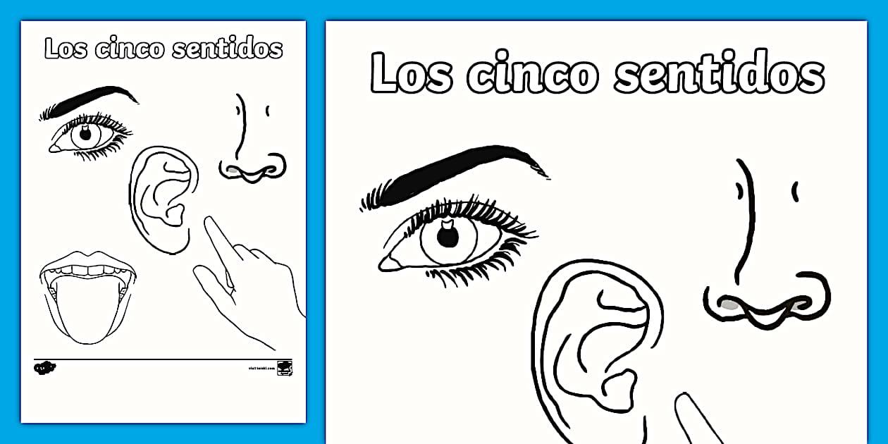 Imágenes de los sentidos para colorear | Twinkl - Twinkl