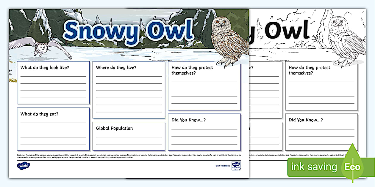 Snowy Owl Fact File Template (teacher made) - Twinkl