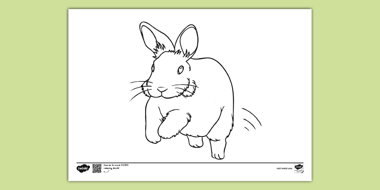Pets Bunny Rabbit Colouring | Colouring Sheets - Twinkl