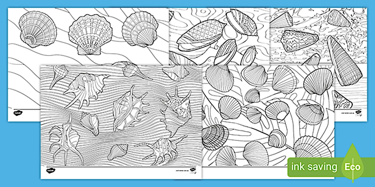 Beach Shells Mindfulness (teacher made) - Twinkl