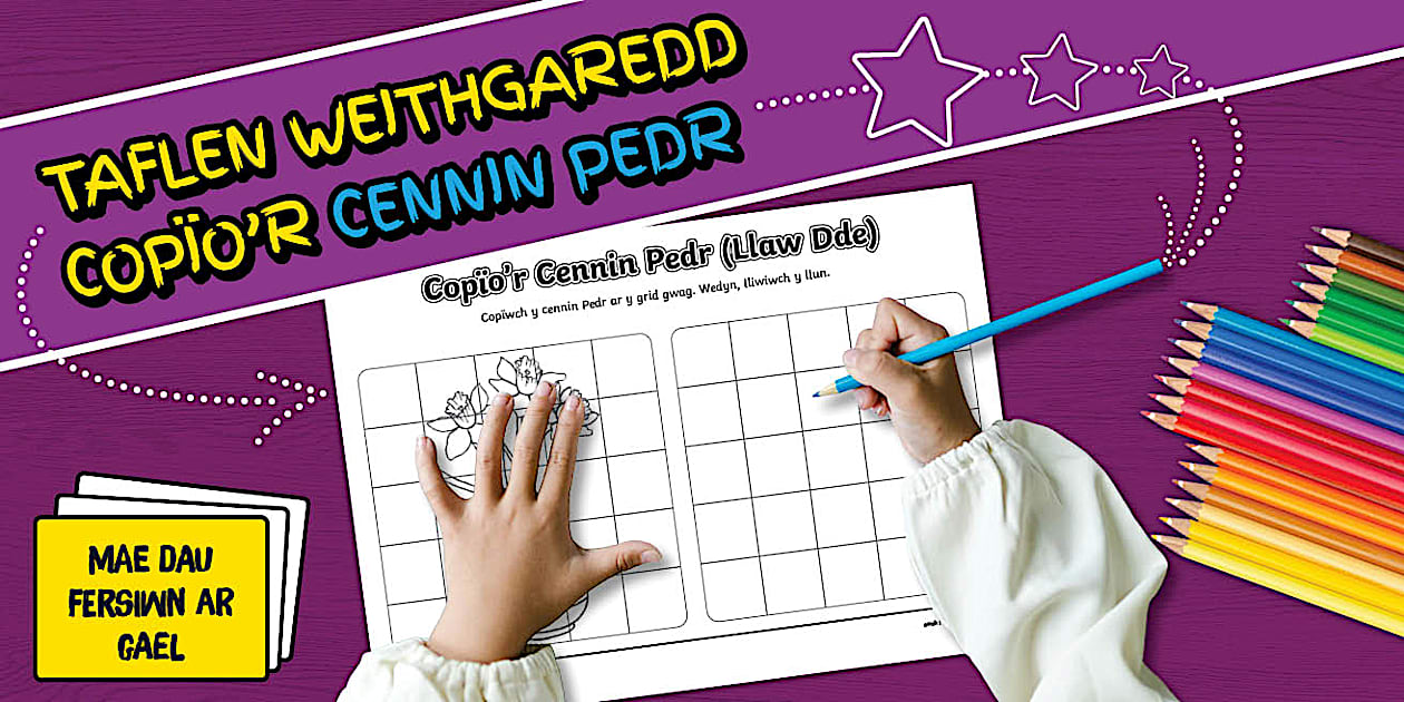 Taflen Weithgaredd Copïo’r Cennin Pedr (teacher made)