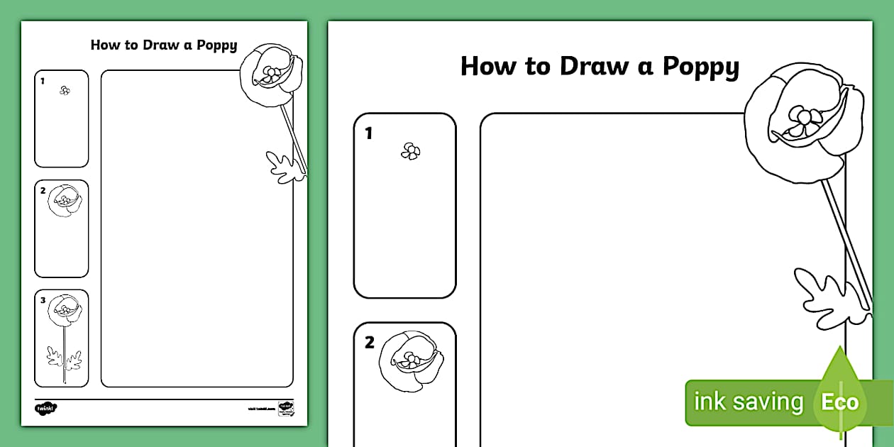 How to Draw a Poppy Worksheet | How to Draw a Poppy | Twinkl
