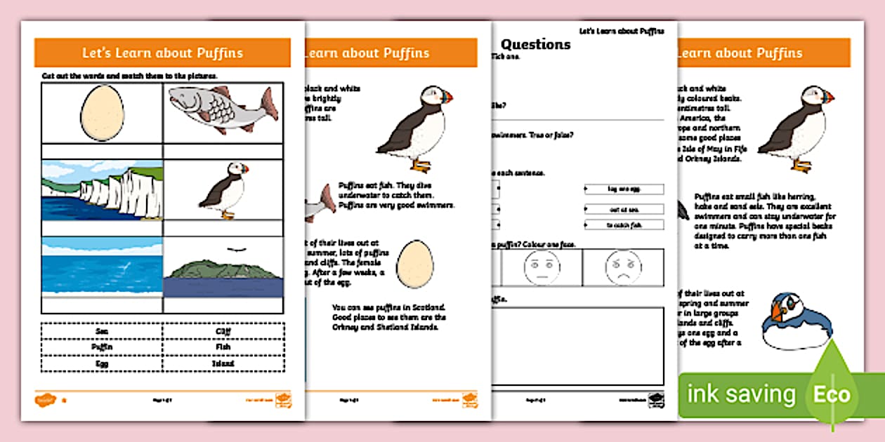 Let's Learn about Puffins Differentiated Reading Comprehension