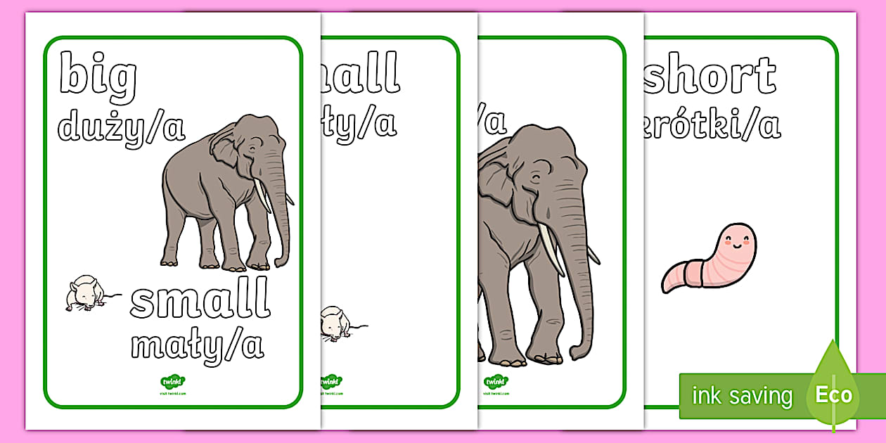 Size Comparison Word and Picture Display Posters English/Polish - Size