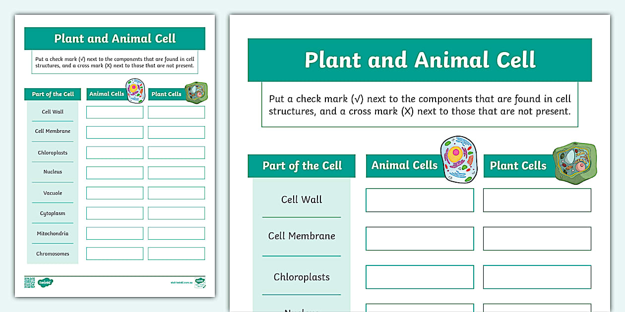Differences Between Animal and Plant Cells Activity - Twinkl