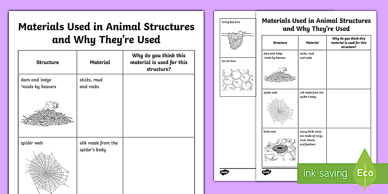 Materials Used in Animal Structures and Why They’re Used Activity