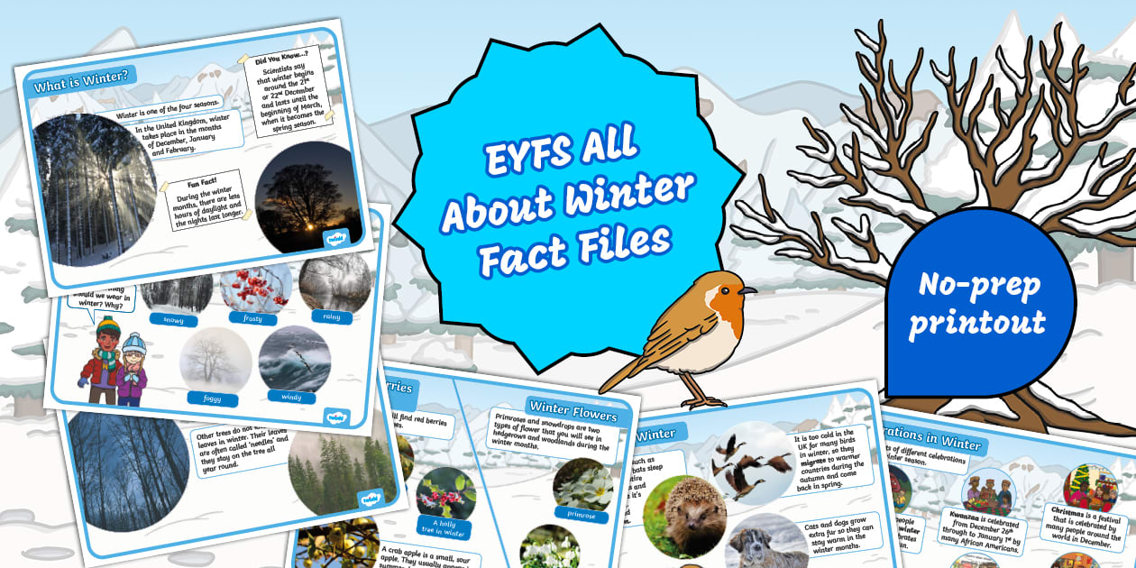 EYFS All About Winter Fact Files | Twinkl