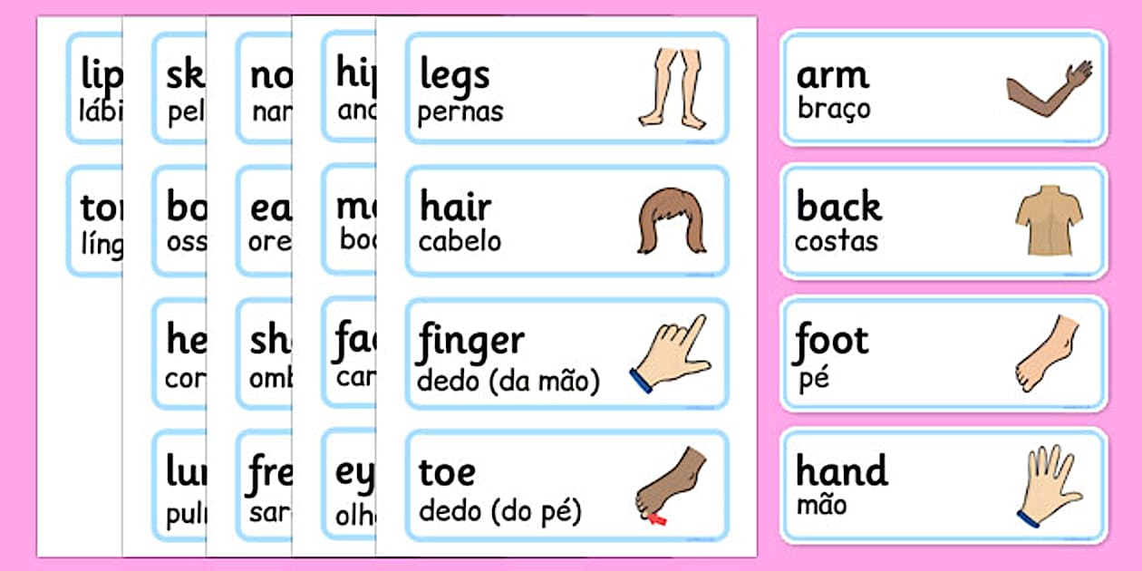 Parts of the Body Topic Words Portuguese Translation