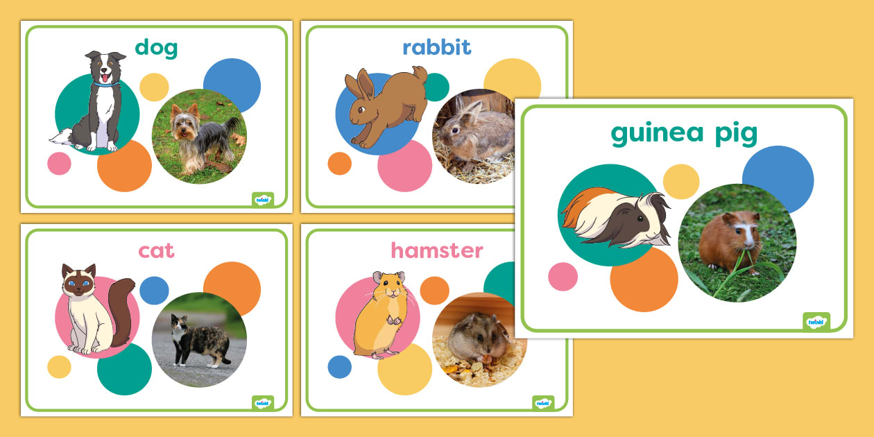 Originals First Words Posters: Pets