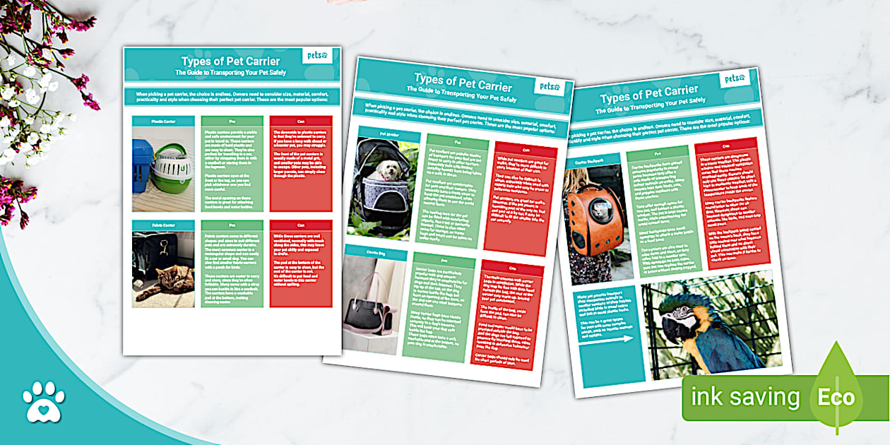 Types of Pet Carrier - Information Sheet - Twinkl Pets