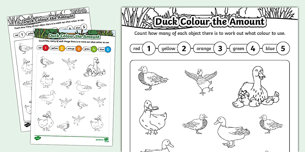 👉 Duck Colour the Amount Worksheet