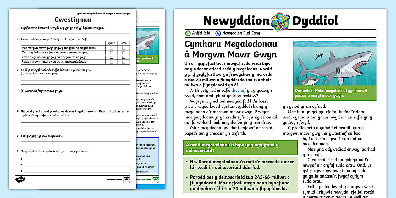 Newyddion Dyddiol: Megalodon a Morgwn Mawr Gwyn CC3 uwch