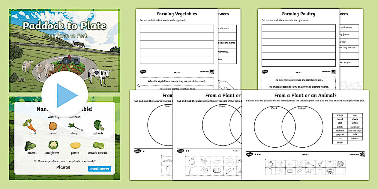 From Farm to Fork Lesson Pack (teacher made) - Twinkl
