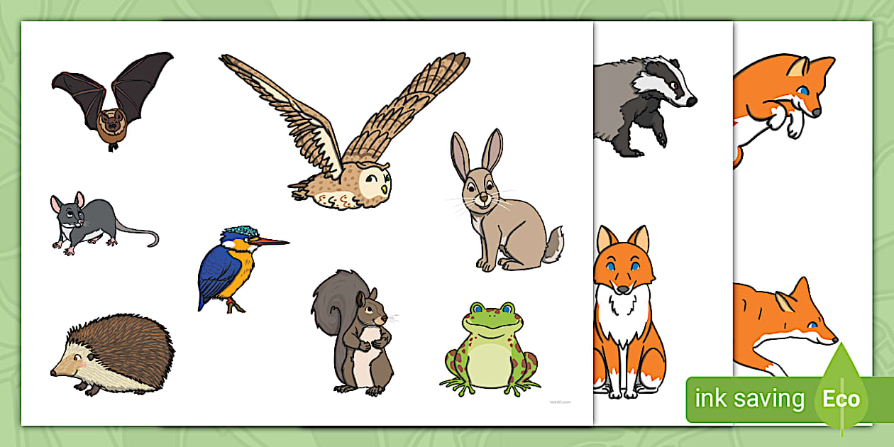 Little Fox Woodland Sensory Story Cut-Outs | Story Resources