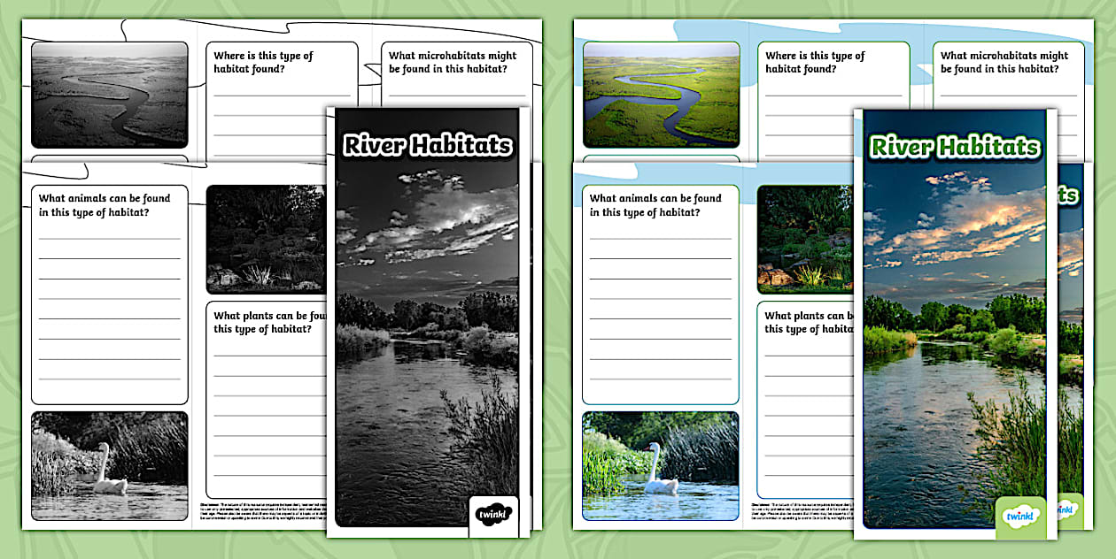 River Habitats Leaflet Template (teacher made) - Twinkl