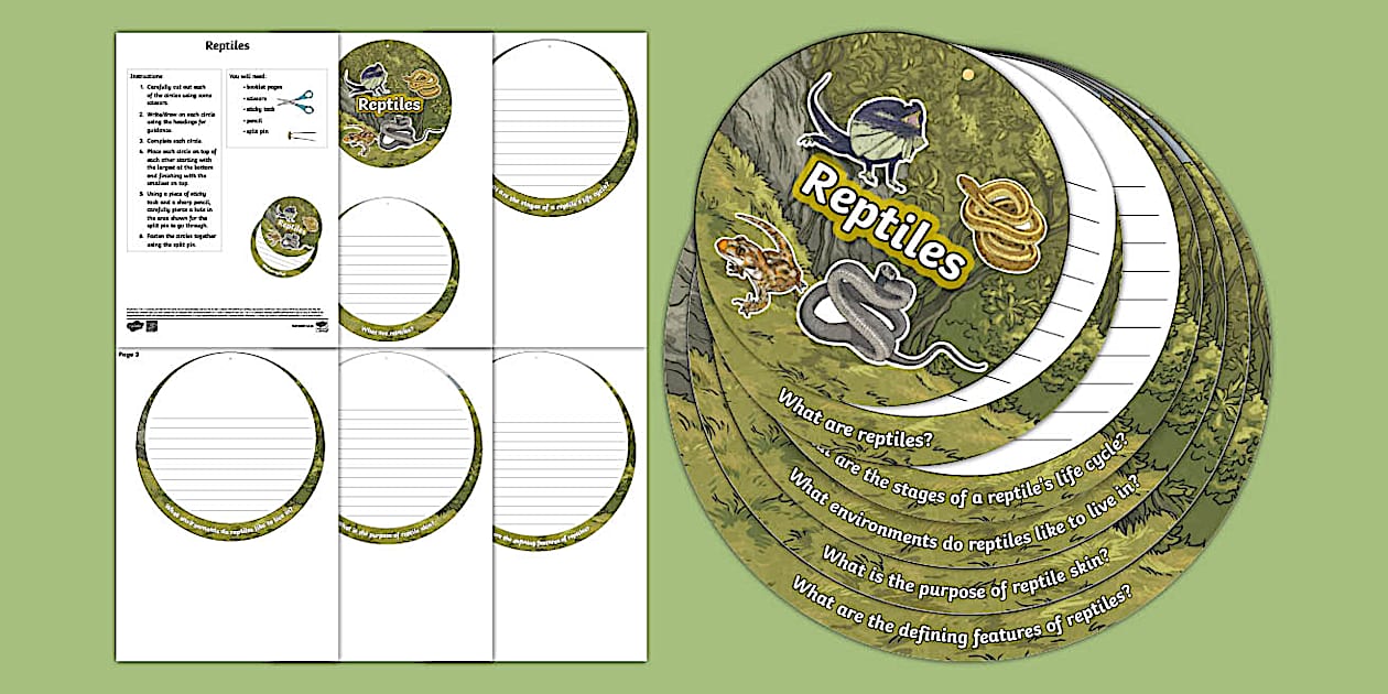 Reptiles Circles Booklet (teacher made) - Twinkl