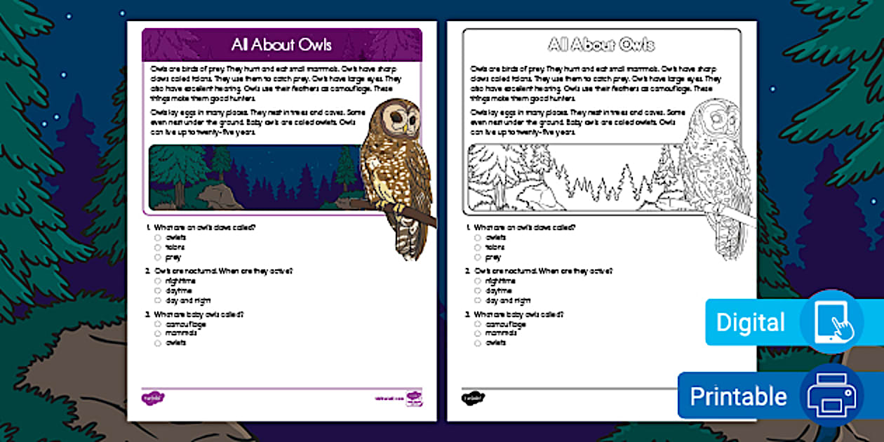 1st Grade Owls Reading Comprehension Activity Worksheet | Twinkl USA