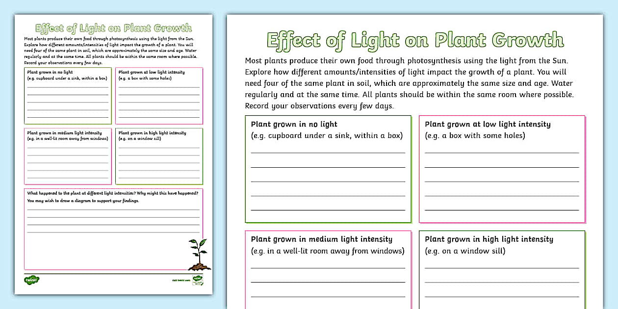 Effect of Light on Plant Growth Investigation Worksheet
