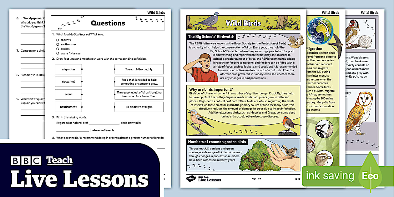 FREE! - BBC Teach Live Lesson: Big Schools’ Winterwatch 2023 Wild Birds