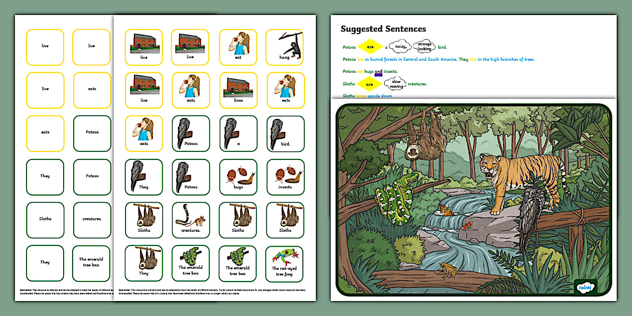 KS2 Colourful Semantics the Rainforest Picture Scene