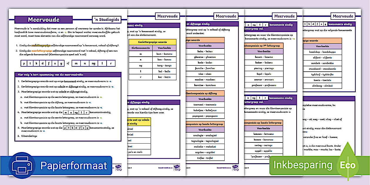 Meervoude Reëls in Afrikaans | Meervoude Study Guide