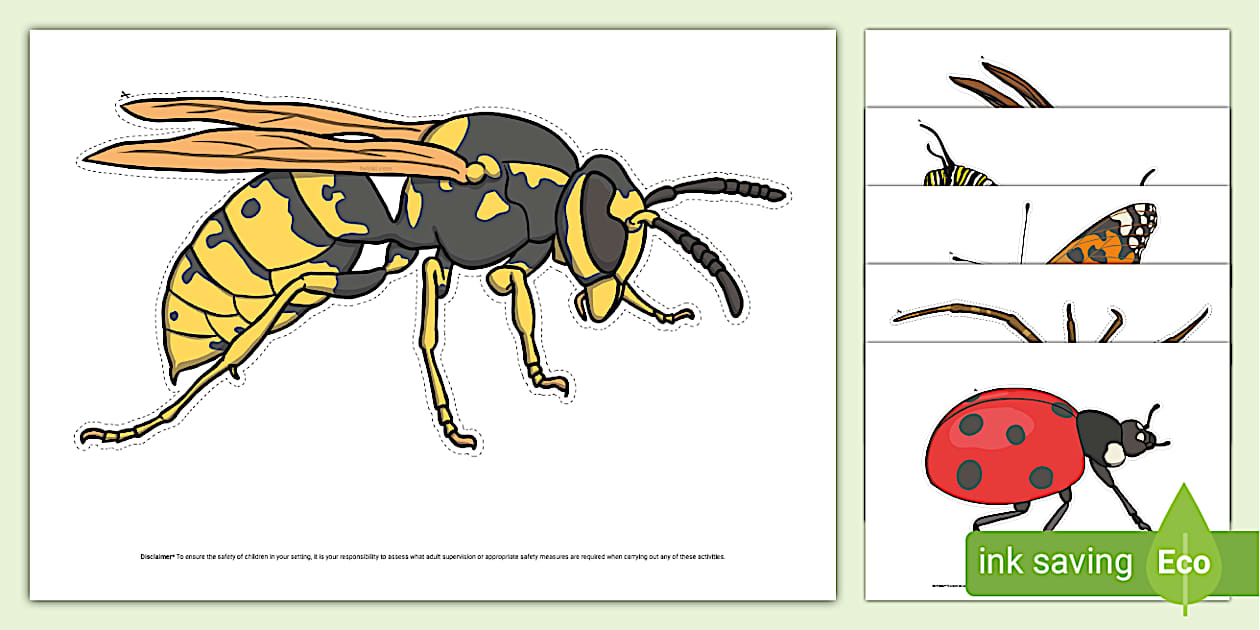 Realistic Minibeast Display Cut Outs (teacher made) - Twinkl